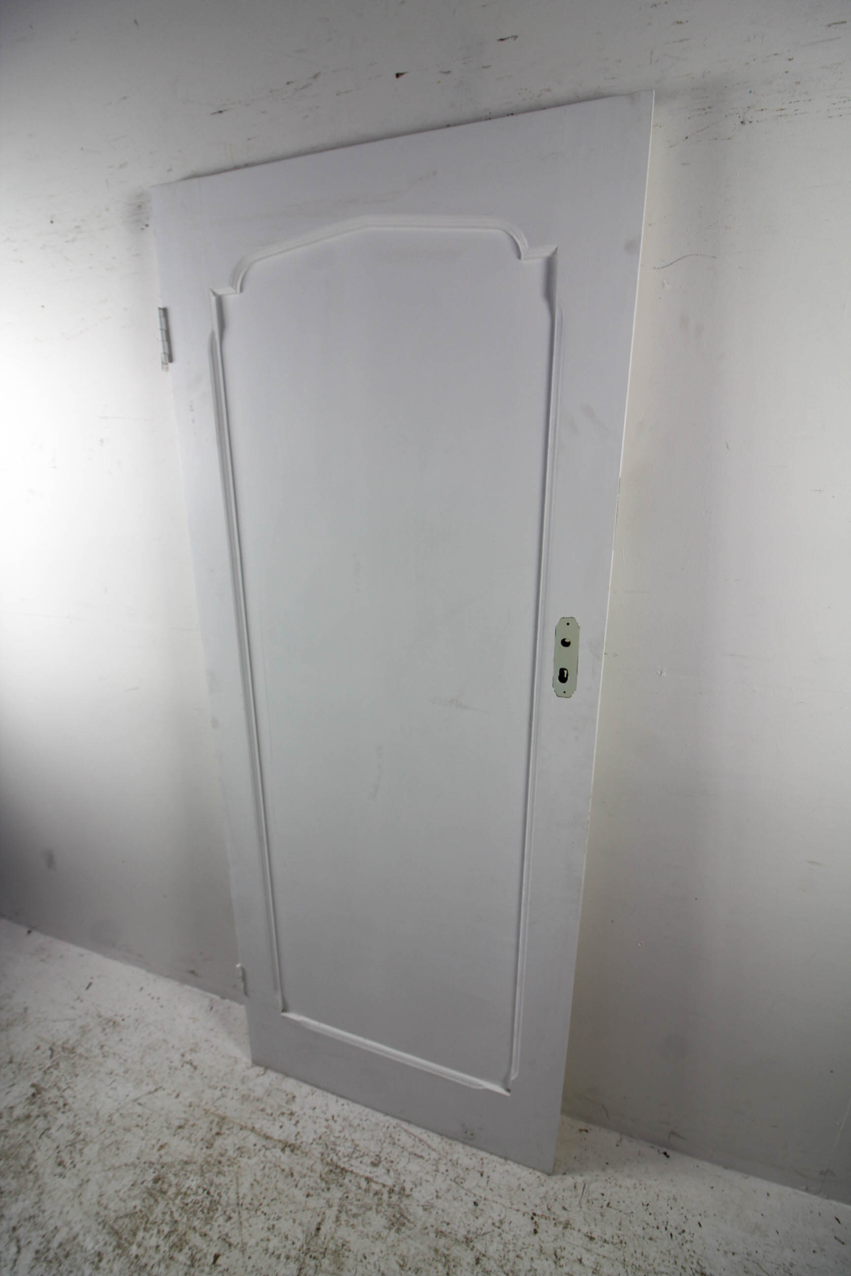 Feature Single Panel Doors | Renovators Paradise