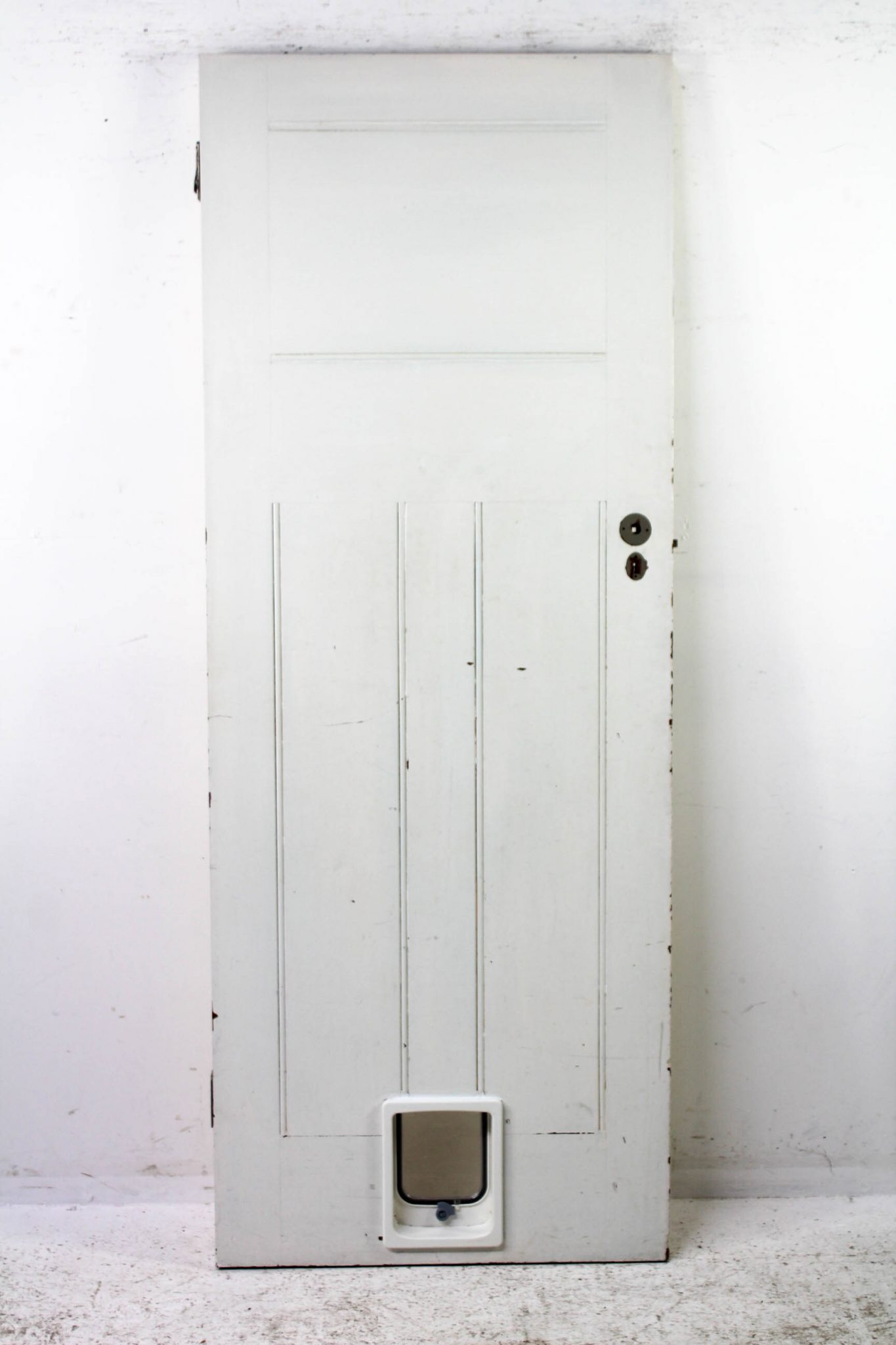 Cat Flap External Door | Renovators Paradise - Cheap Doors