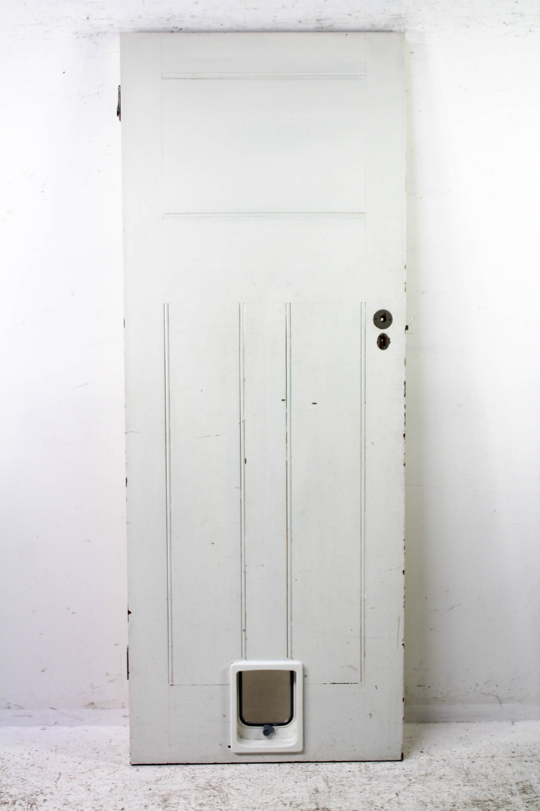 Cat Flap External Door | Renovators Paradise - Cheap Doors