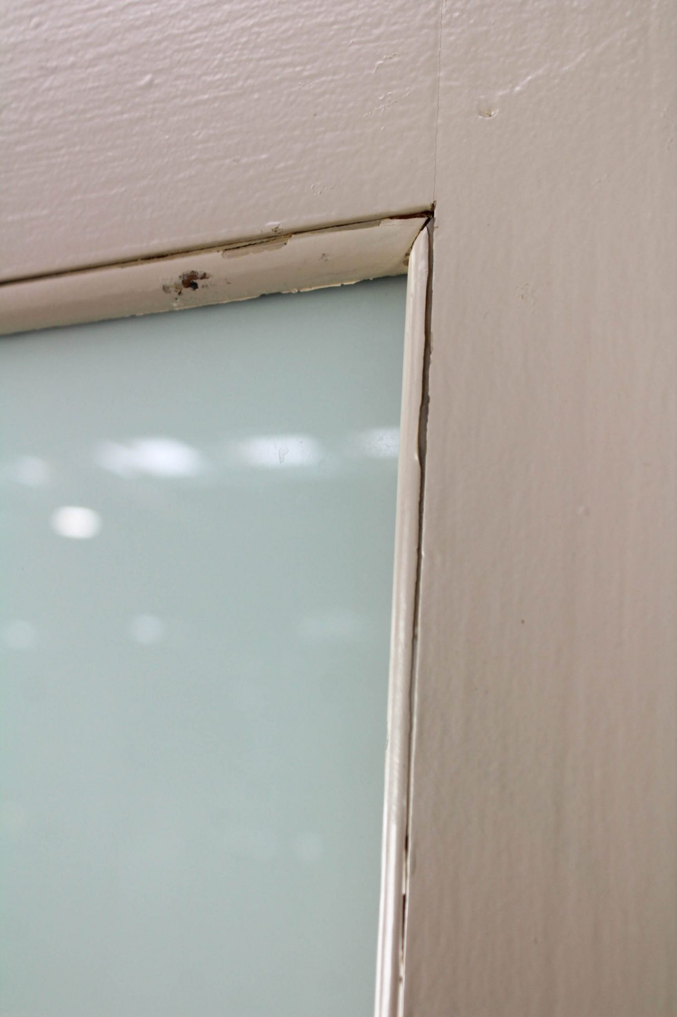 Laminate Privacy Glass Doors | Renovators Paradise - Recycled Doors