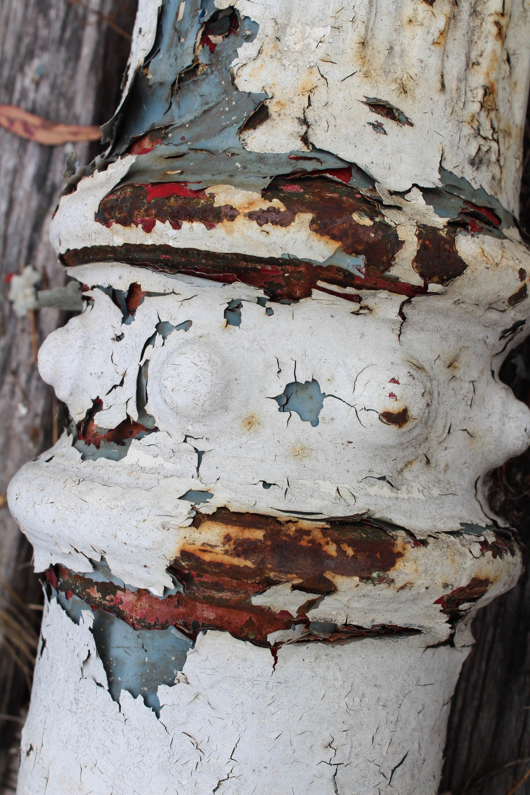 Malvern Cast Iron Posts | Renovators Paradise - Recycled