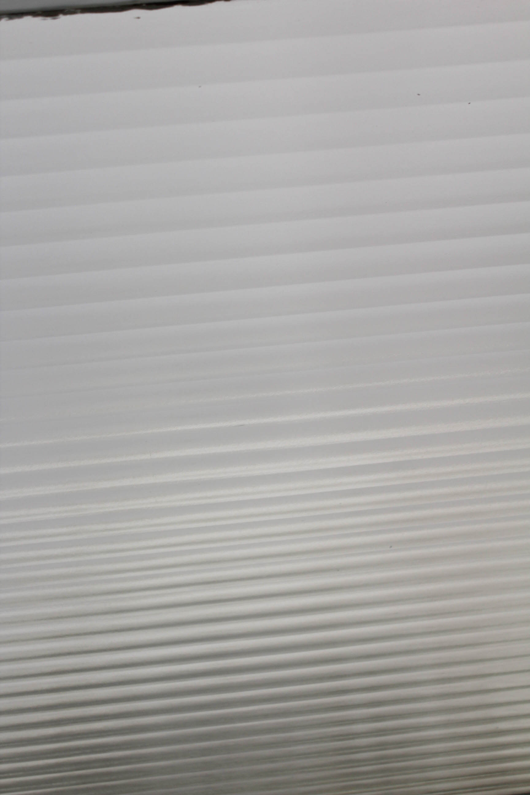 Fluted Glass Sash Window | Renovators Paradise Glass Sash Window