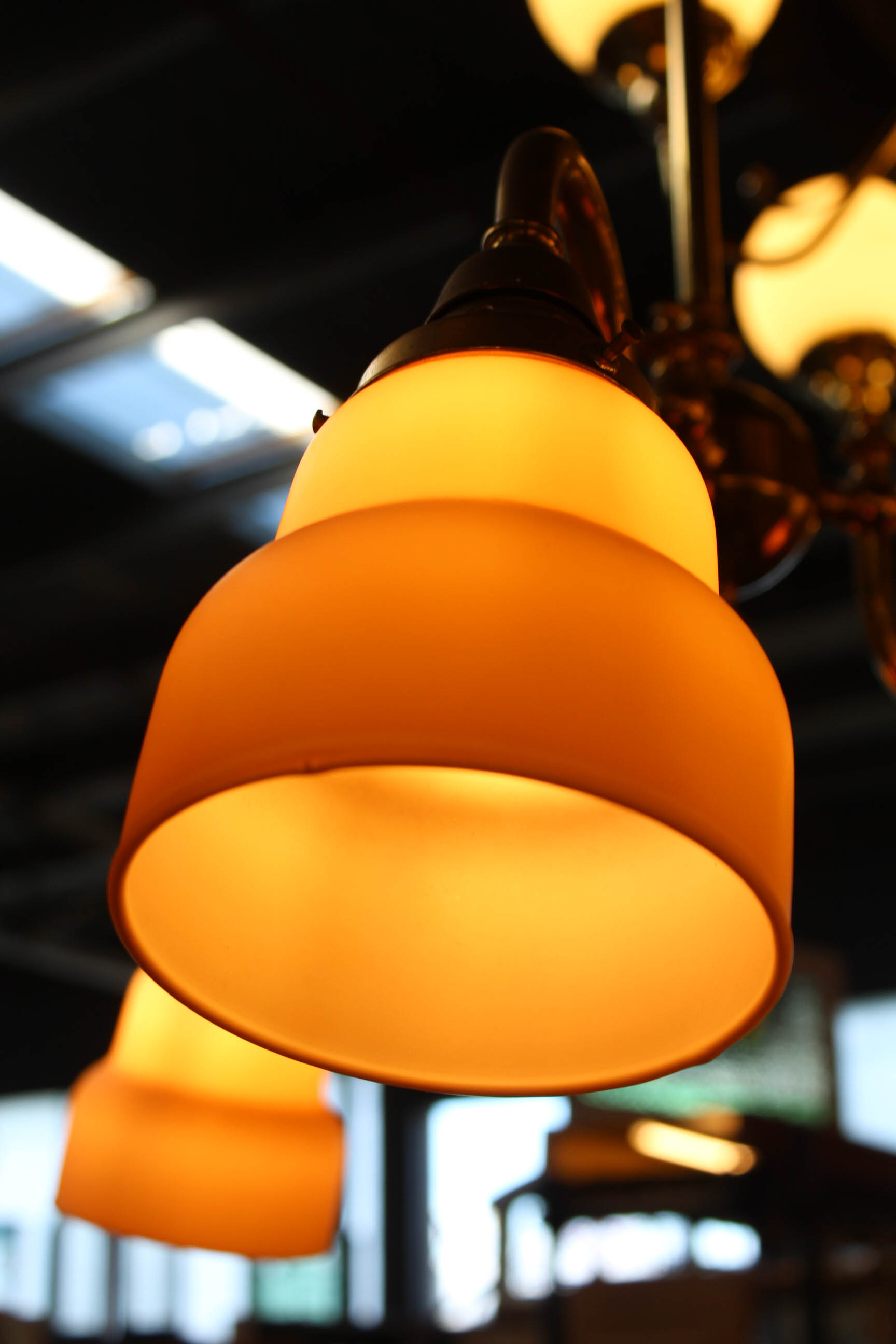 French Vienna Light | Renovators Paradise French Vienna Light