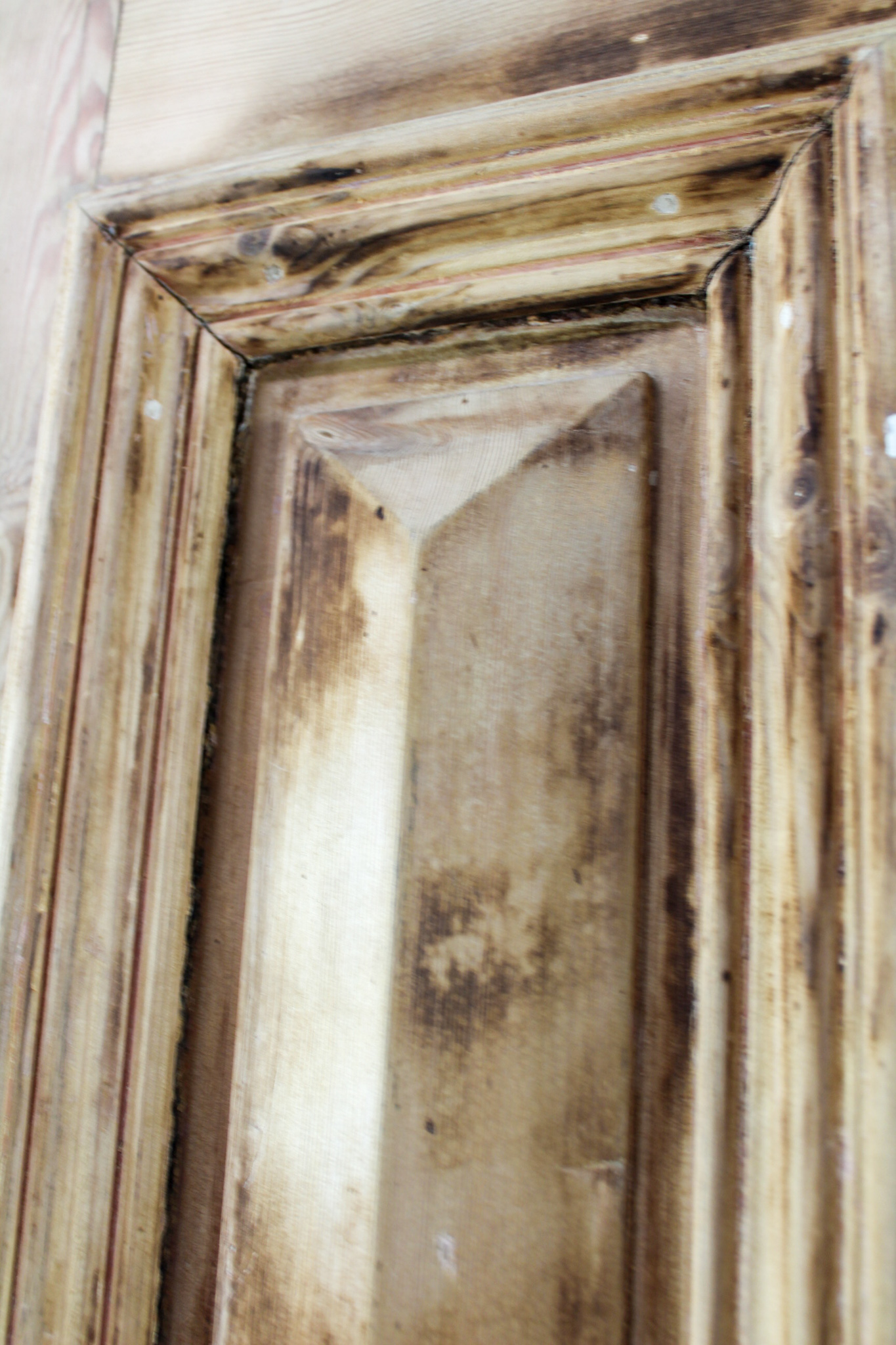 Classic Cricket Bat Front Door | Renovators Paradise - Period Doors